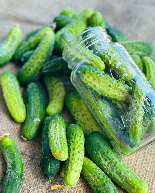 Produce Gone Wild – Produce Gone Wild